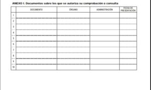 Cómo Llenar el Formulario EX-15 Para Obtener El NIE en España